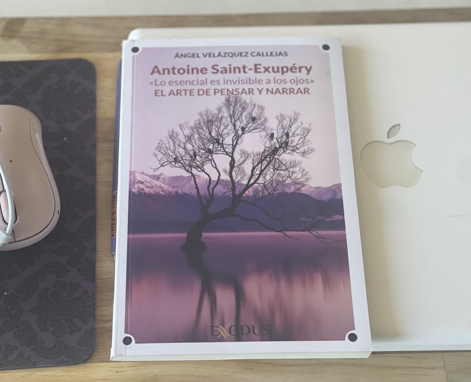 El libro «Lo esencial es invisible a los ojos: el arte de narrar y ...